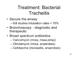 TRACHEITIS | YOUR HEALTH KNOWLEDGE