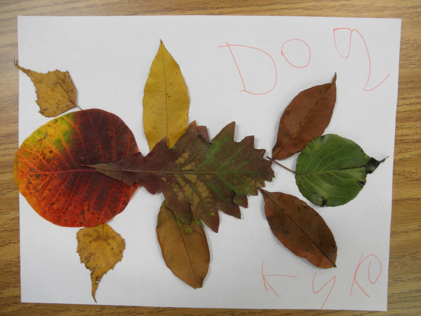 Teaching is a Work of Heart: Leaf Man