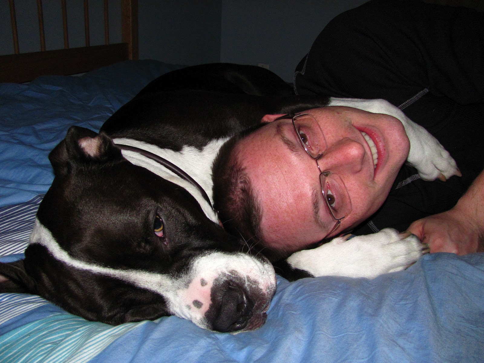 The Adventures of Loki, the Loco Dog