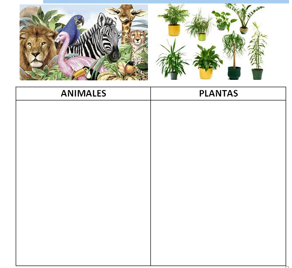 FUNCIONAMIENTO LINGÜÍSTICO : octubre 2015