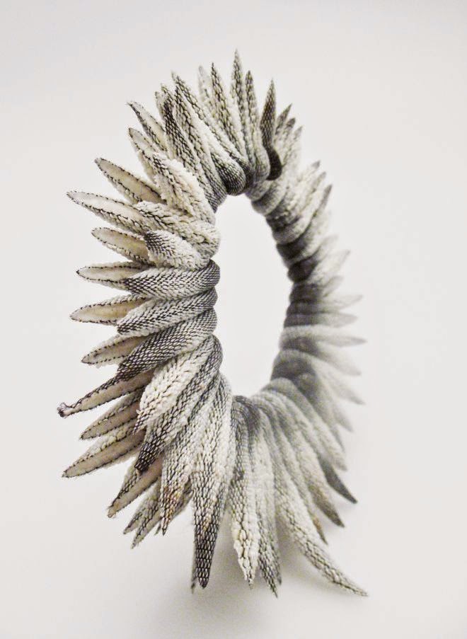 Tzuri gueta | CURIOSITE