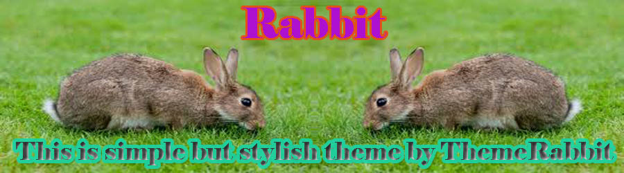 All About Rabbit