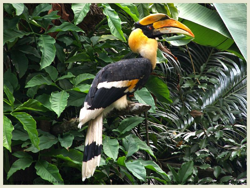 Kerala the land of Backwaters: Kerala" The God's Own Country" Offer you ...