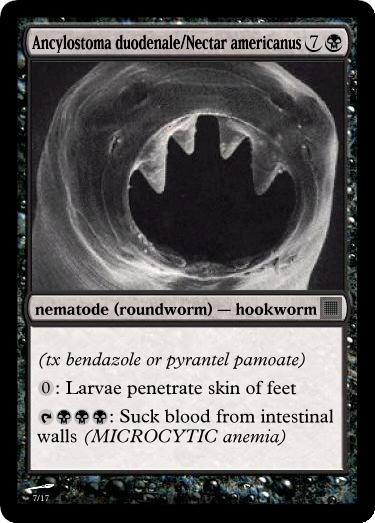 Magical Studying: the worms