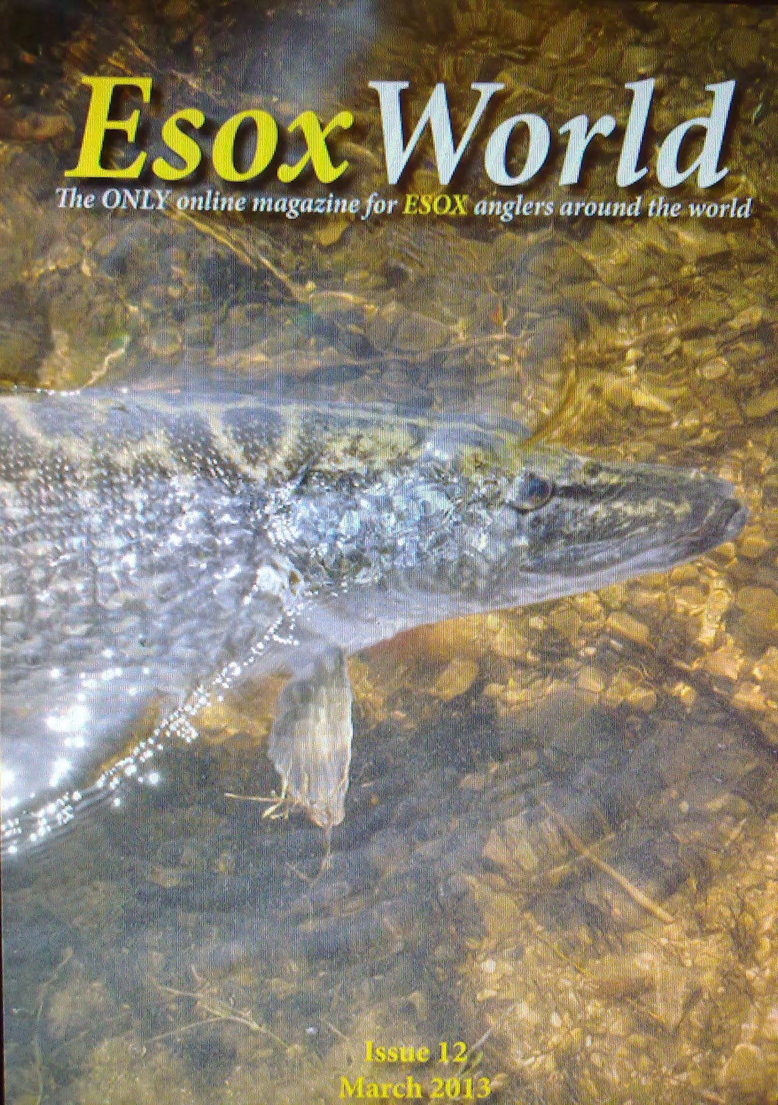romanillos fly fishing: Esox World Nº 12