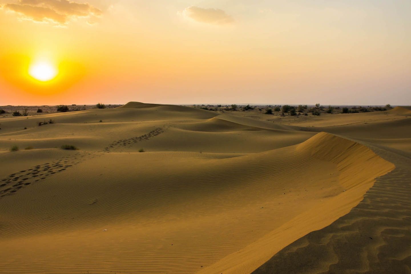 Quick Facts about India