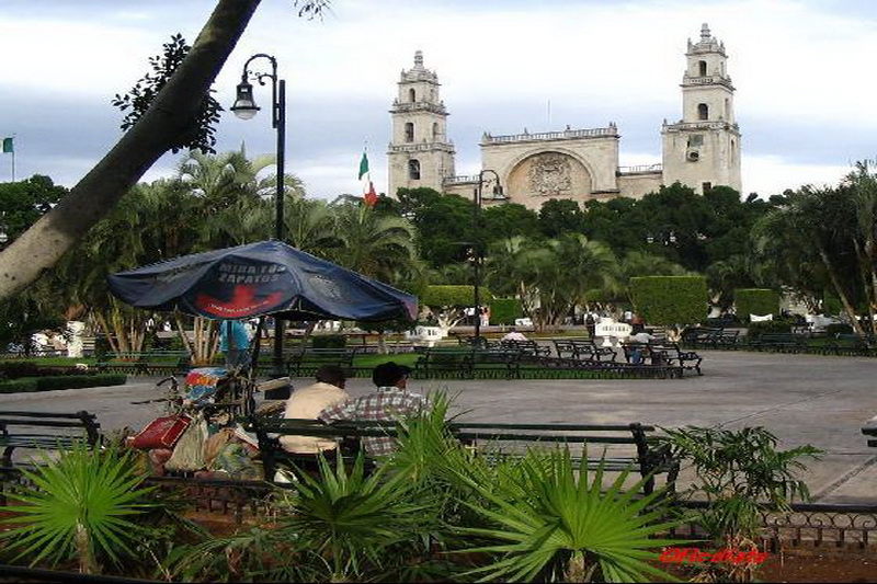 Travel Places and Tours and Travels-Hotels for Traveling