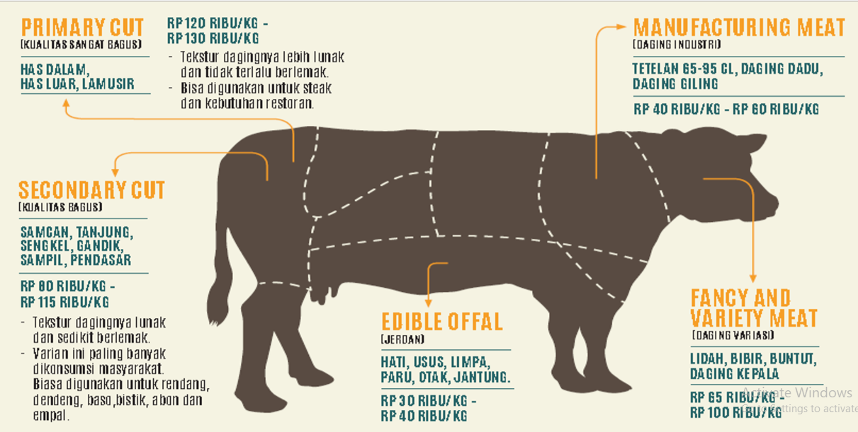 NGO-SKOP: Importasi Sapi