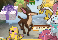 Animal Jam Community Blog: Deer