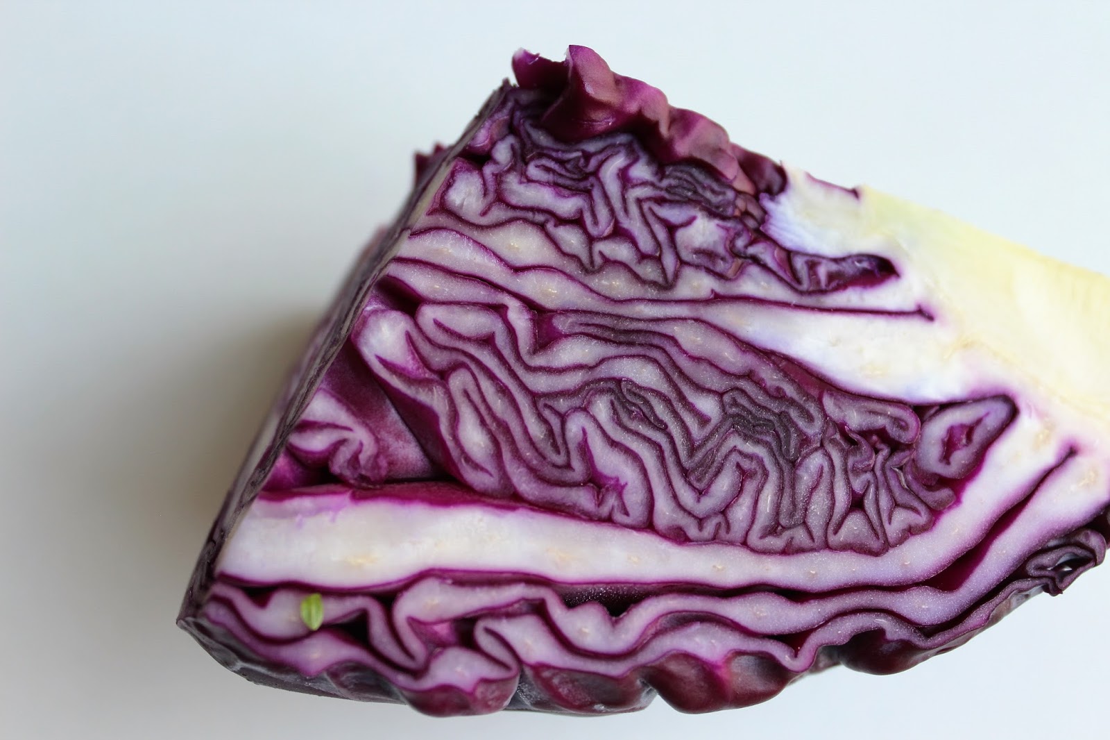 7 dicas para cozinhar com repolho-roxo