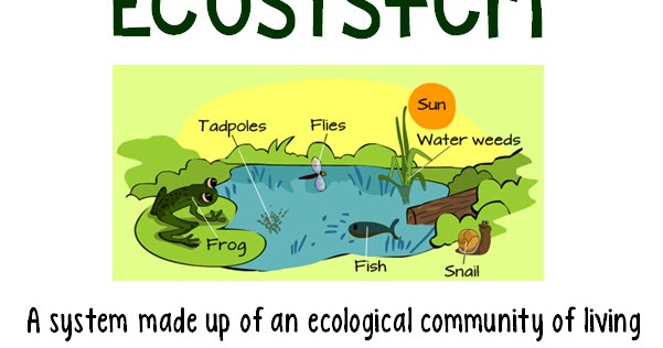 Welcome!: TBR: Ecosystems