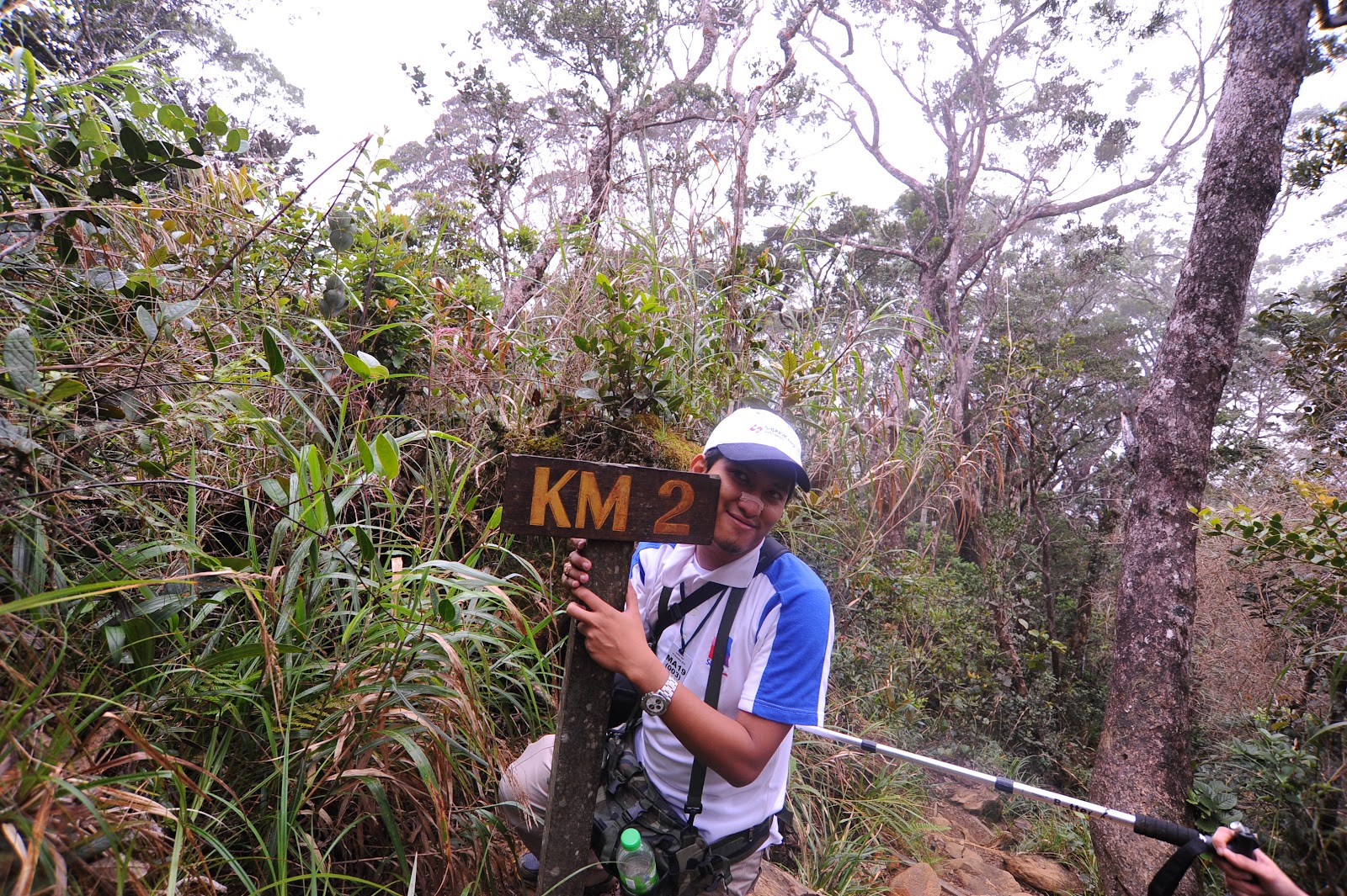 Jari Enam: Mt Kinabalu - Part 2-Mesilau Trail “Spectacular rainforest view”