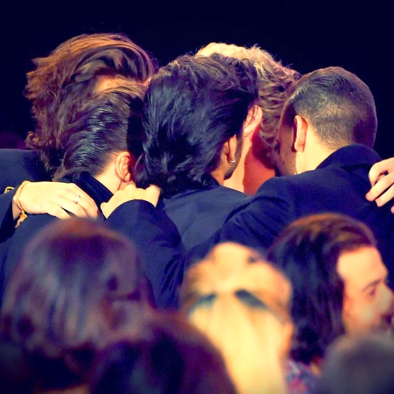 The Directioners Zone