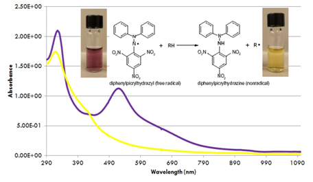 Ayok Belajar Uji Antioksidan dengan Metode DPPH