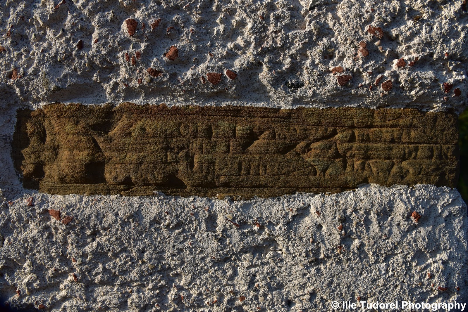 TUDOR PHOTO BLOG: Densus,judetul Hunedoara-taramul legendelor,Densus ...