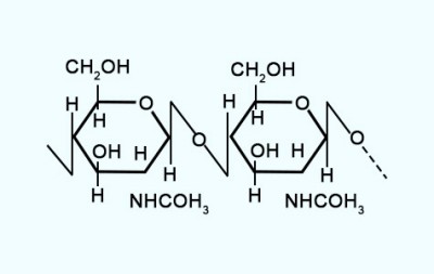 Belajar Kimia Organik II: Pembentukan Disakarida dan Polisakarida