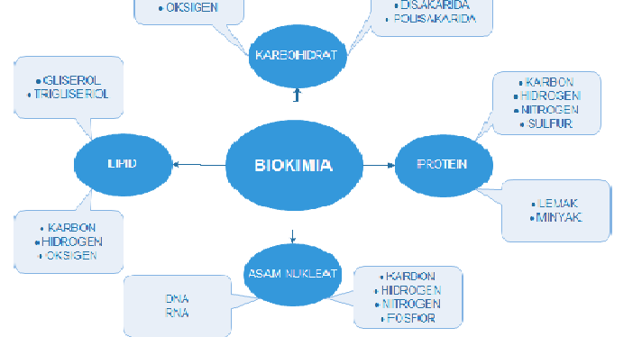 KimintekHijau.com: Biokimia