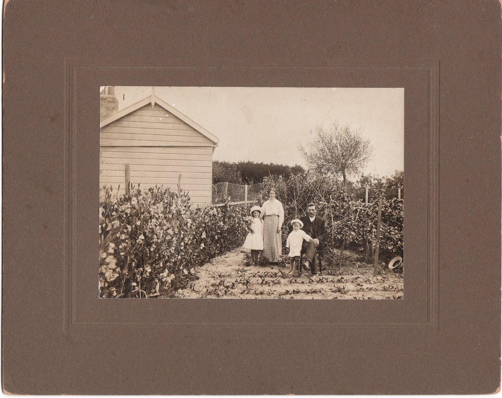 Early New Zealand Photographers: Collins & Sons