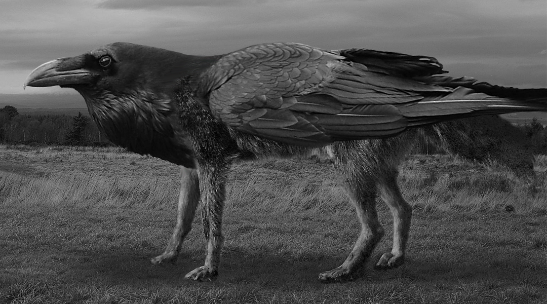 d20 Despot: February 2016