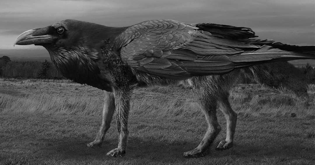 d20 Despot: Monster Monday: Valraven, the Soul-Eating Raven Wolf