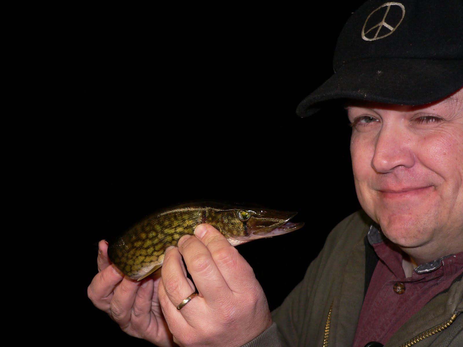 Catch-M-All: Fish #9: Chain Pickerel