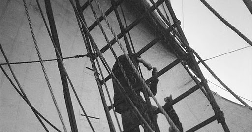 The Cuddlywumps Cat Chronicles: Ship's Cat Learning to Climb into the ...