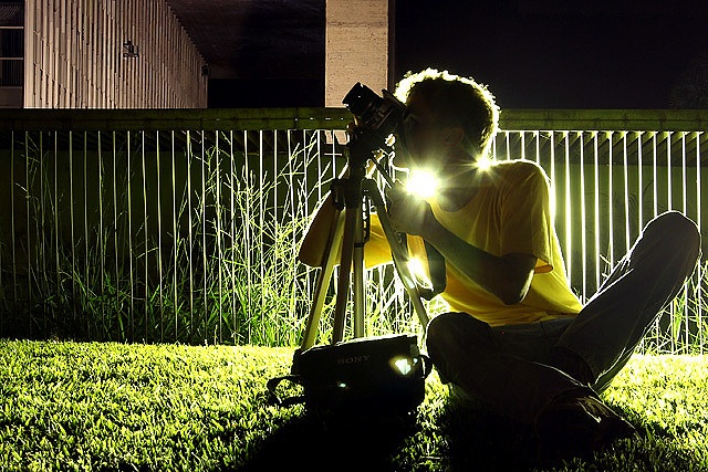 PAMUDURTHI: Awesome Backlighting Photography