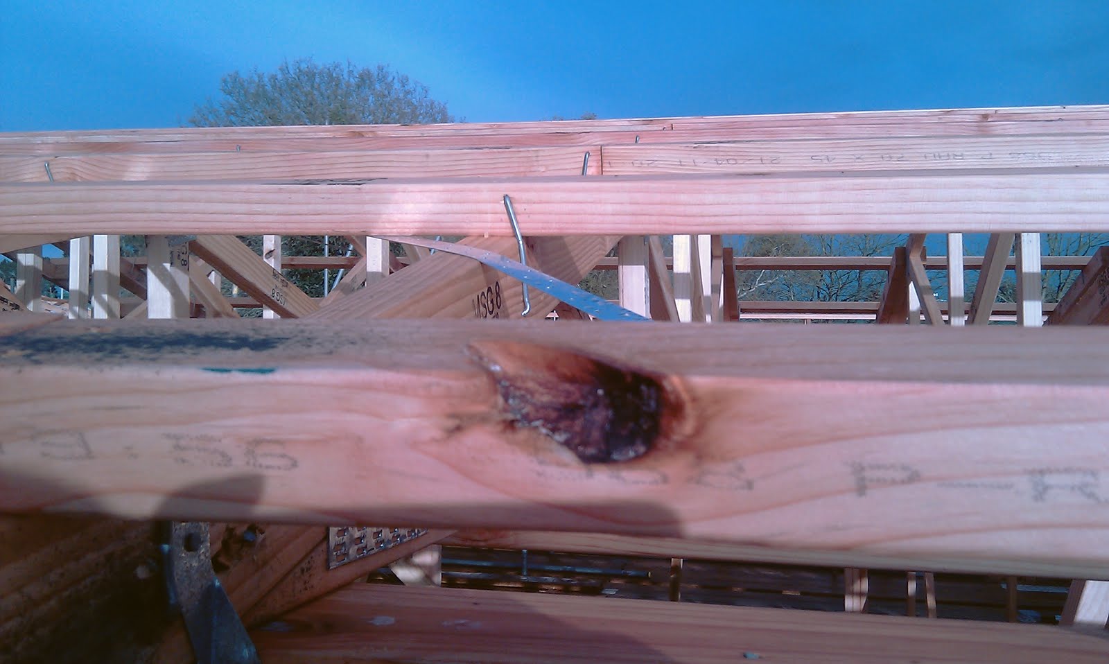 Gavin Zhang CCA1: WEEK 14 ROOF FRAME BRACING