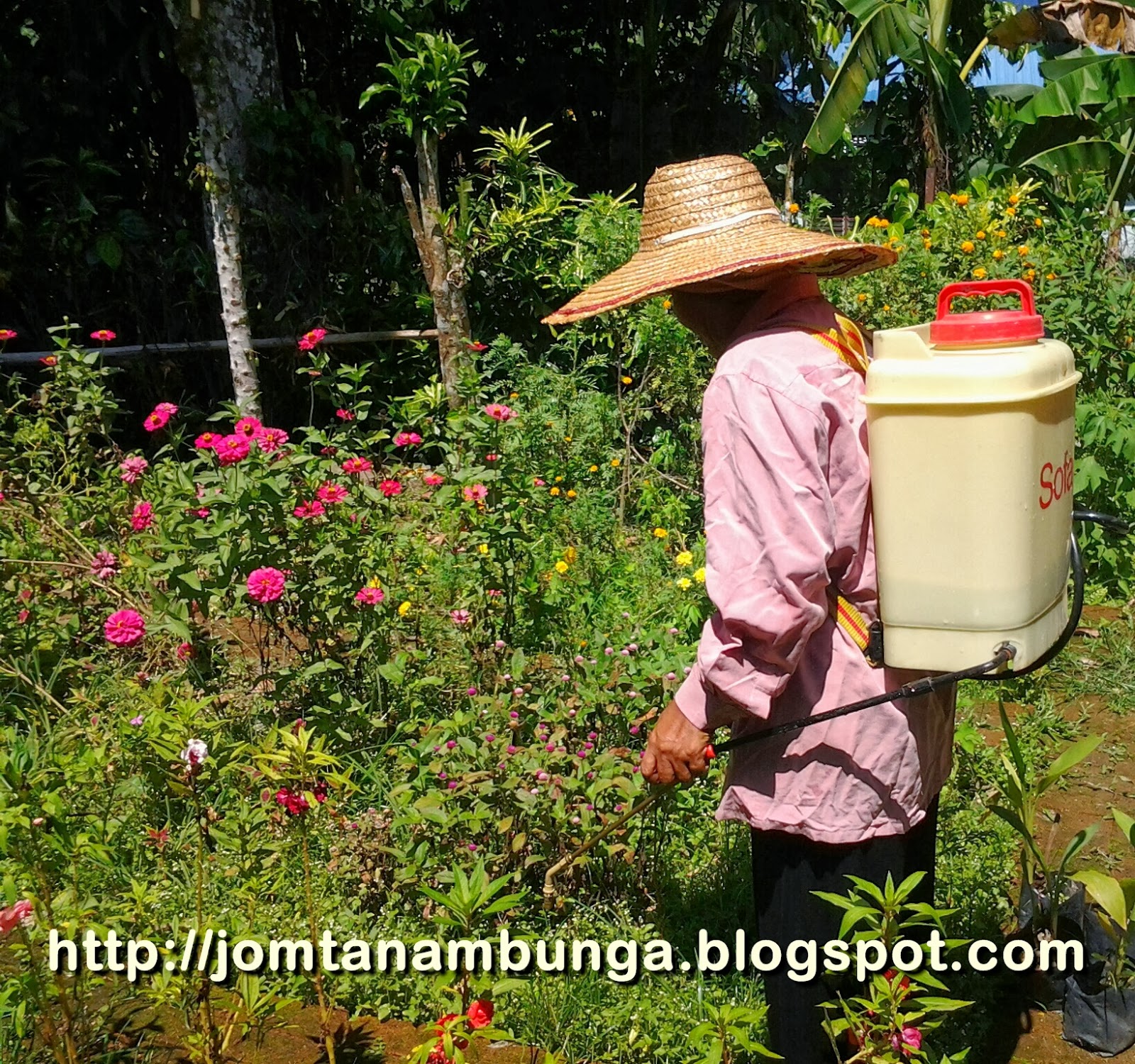 Jom Tanam Bunga: Bunga Comel Tapi Busuk?