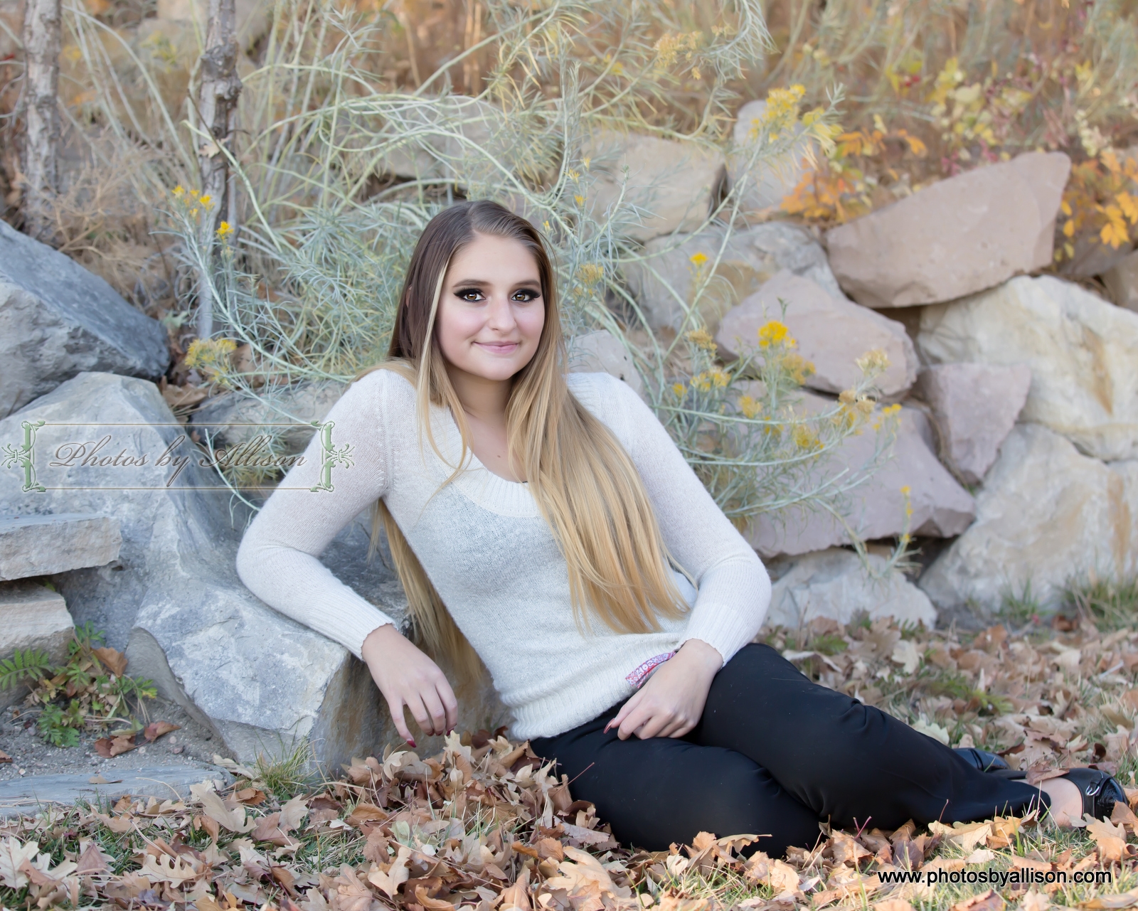 Photos by Allison Blog: Modeling, Art, Christmas Photos, Holiday Cards ...