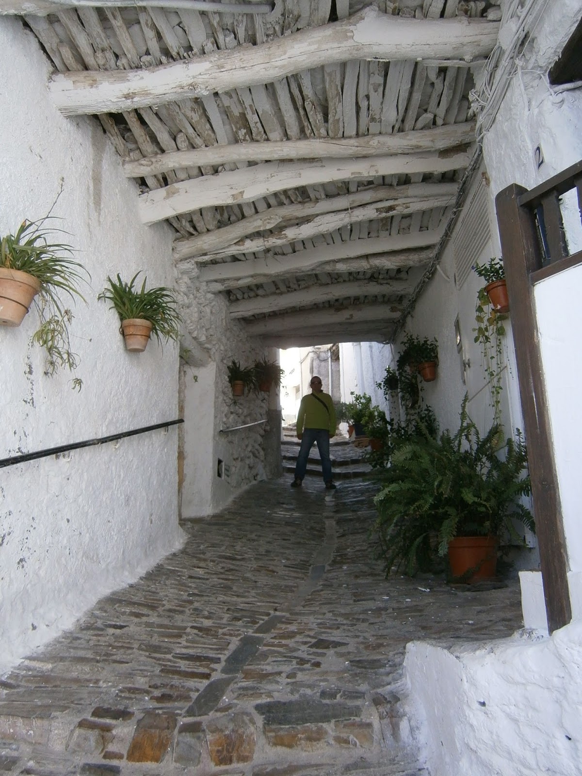 Cuaderno de una senderista: La Taha de Pitres, Alpujarras Altas, Granada.