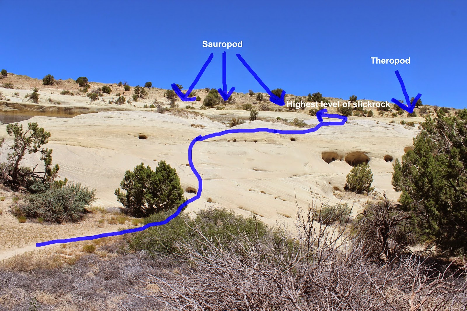 27+ Twenty Mile Dinosaur Trackway - CleonieAbbey