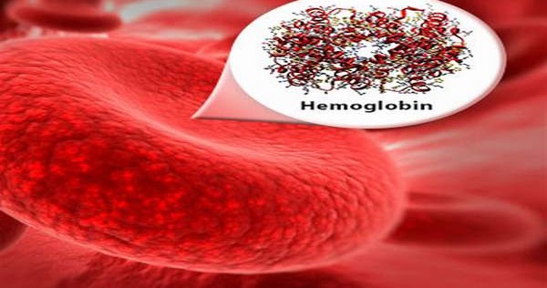 Inilah Obat Herbal Penambah HB Darah Yang Alami dan Tidak Ada Di Apotek