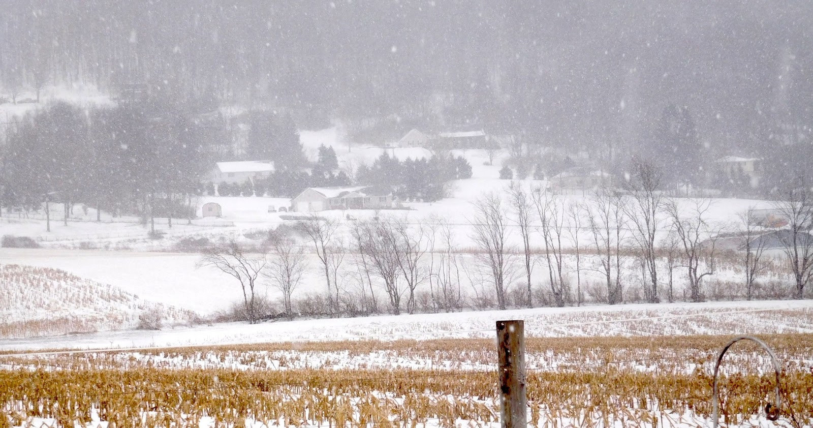 Life is Good : ): Snow Globe