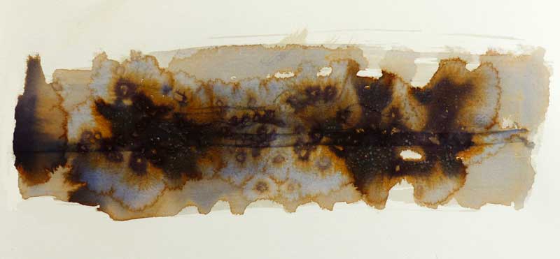 Charlton Stitcher: Salt crystals and Quink ink