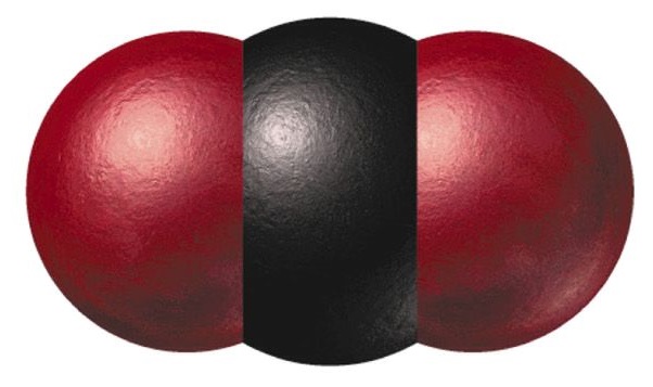 The Living Tank: Article - CO2 Q&A - The science behind