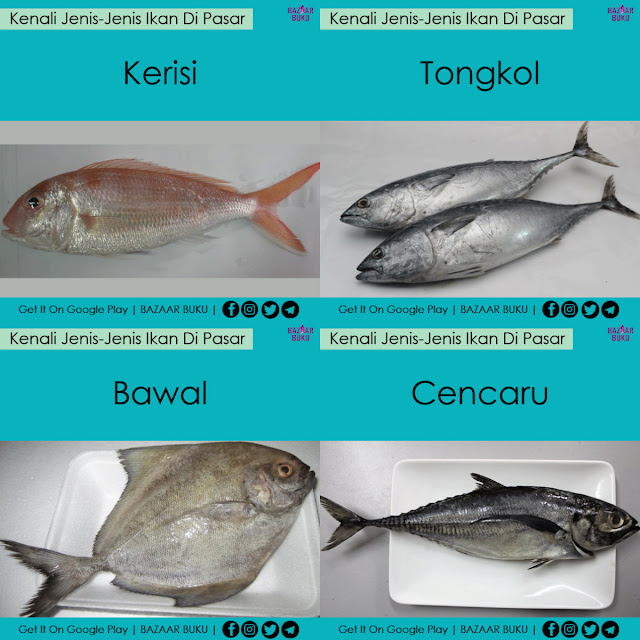 JENIS-JENIS IKAN DI PASAR