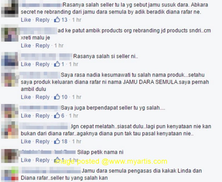 MYARTIS.COM | MYARTIS | MY | ARTIS: DIANA RAFAR DIFITNAH 'REBRAND ...