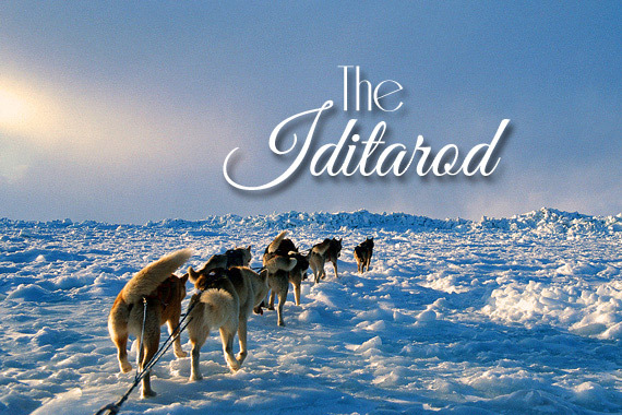 Every Day Is Special: February 2 – Serum Run, AKA the Great Race of Mercy