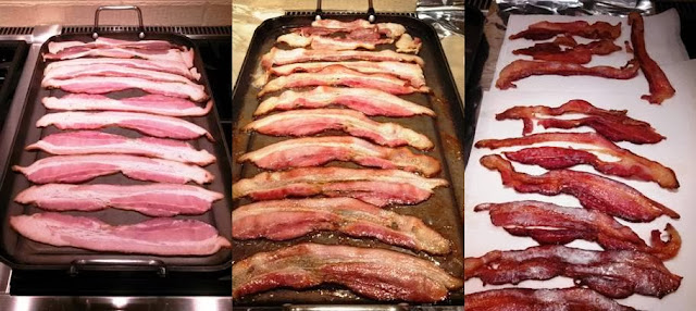 My Life With Bacon: November 17, 2013: The Baconian Method, and The ...