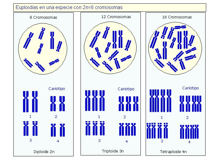 ELVI: INVESTIGACIÓN DE LA UNIDAD 5