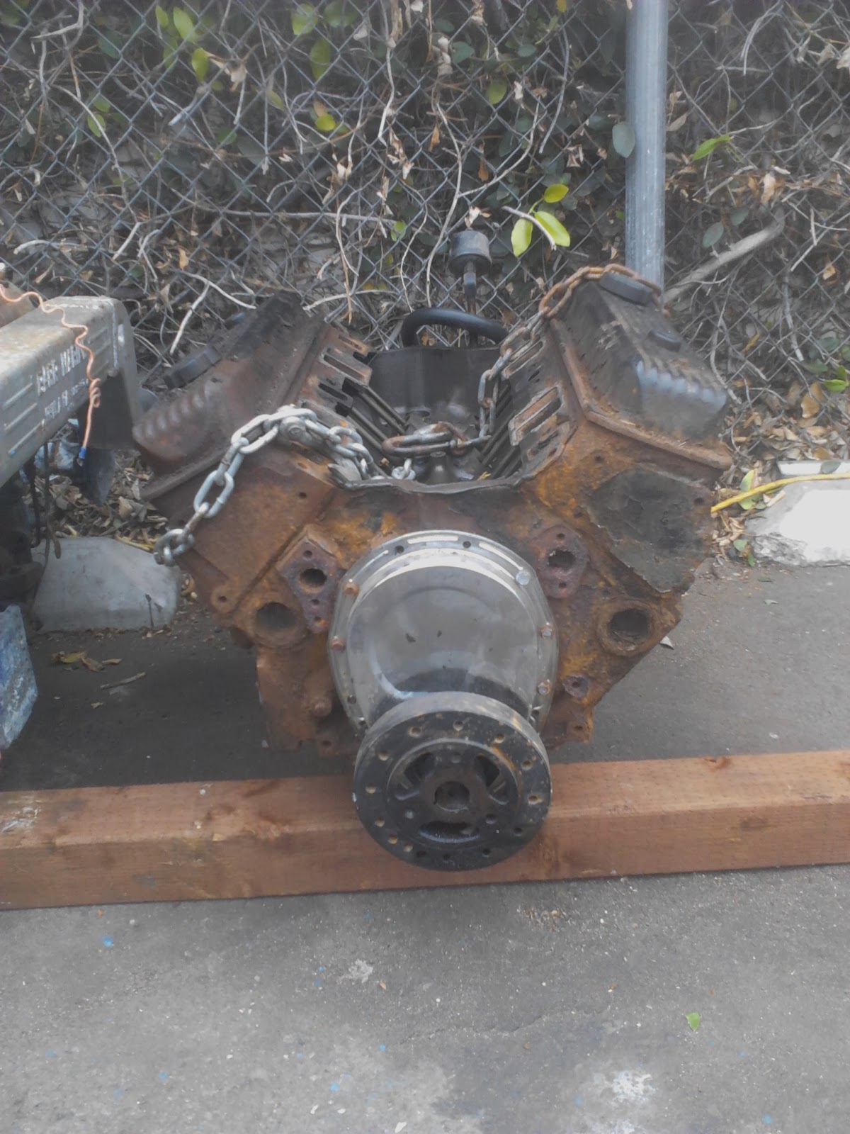 Pugwash Marine: Pugwash Marine