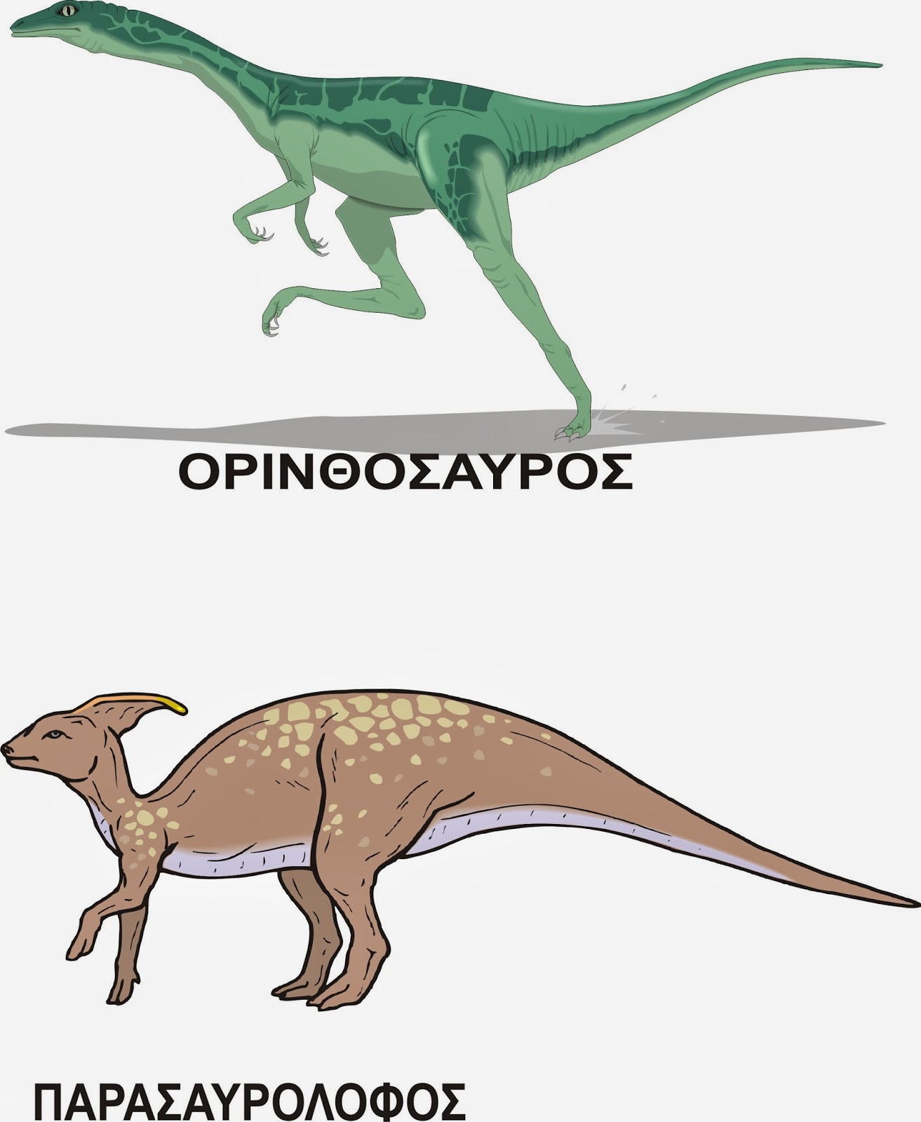 1ο Νηπιαγωγείο Αγ. Μαρίνας Τσαλικάκι: Νοεμβρίου 2013