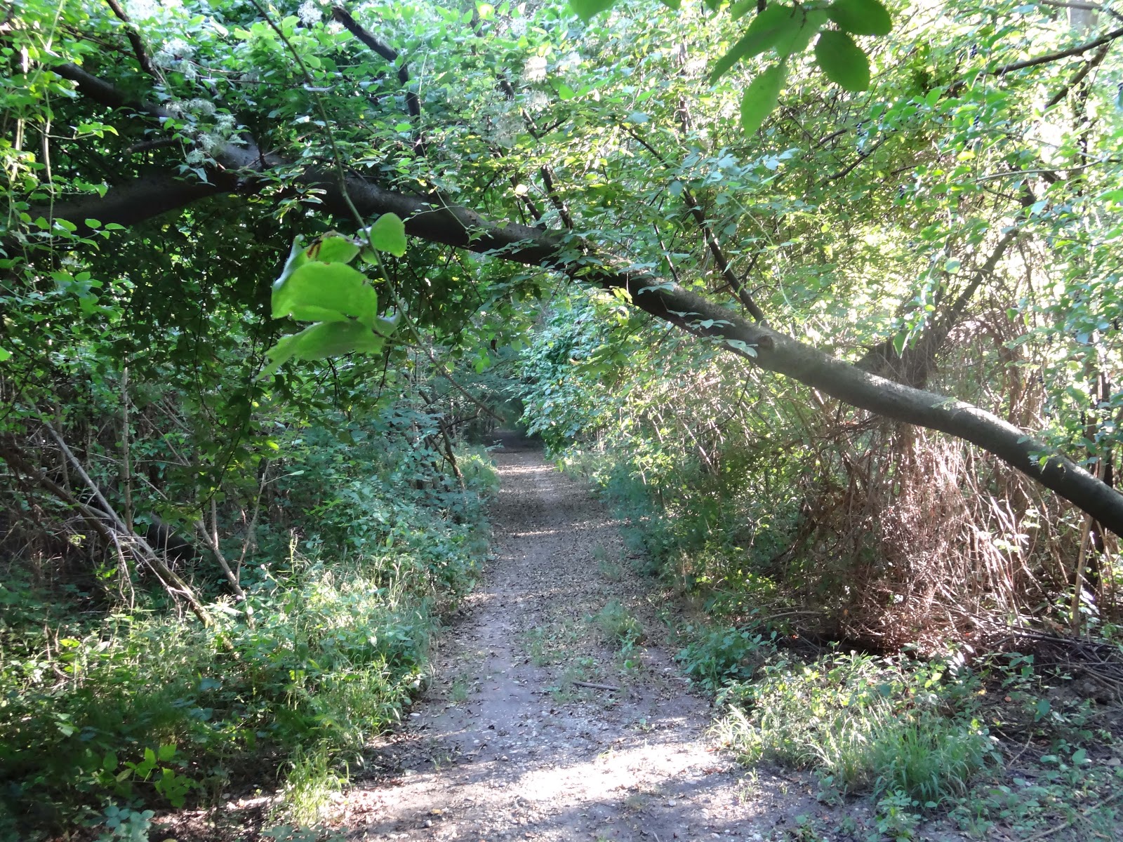 Vom Laaer Berg bis in die Lobau