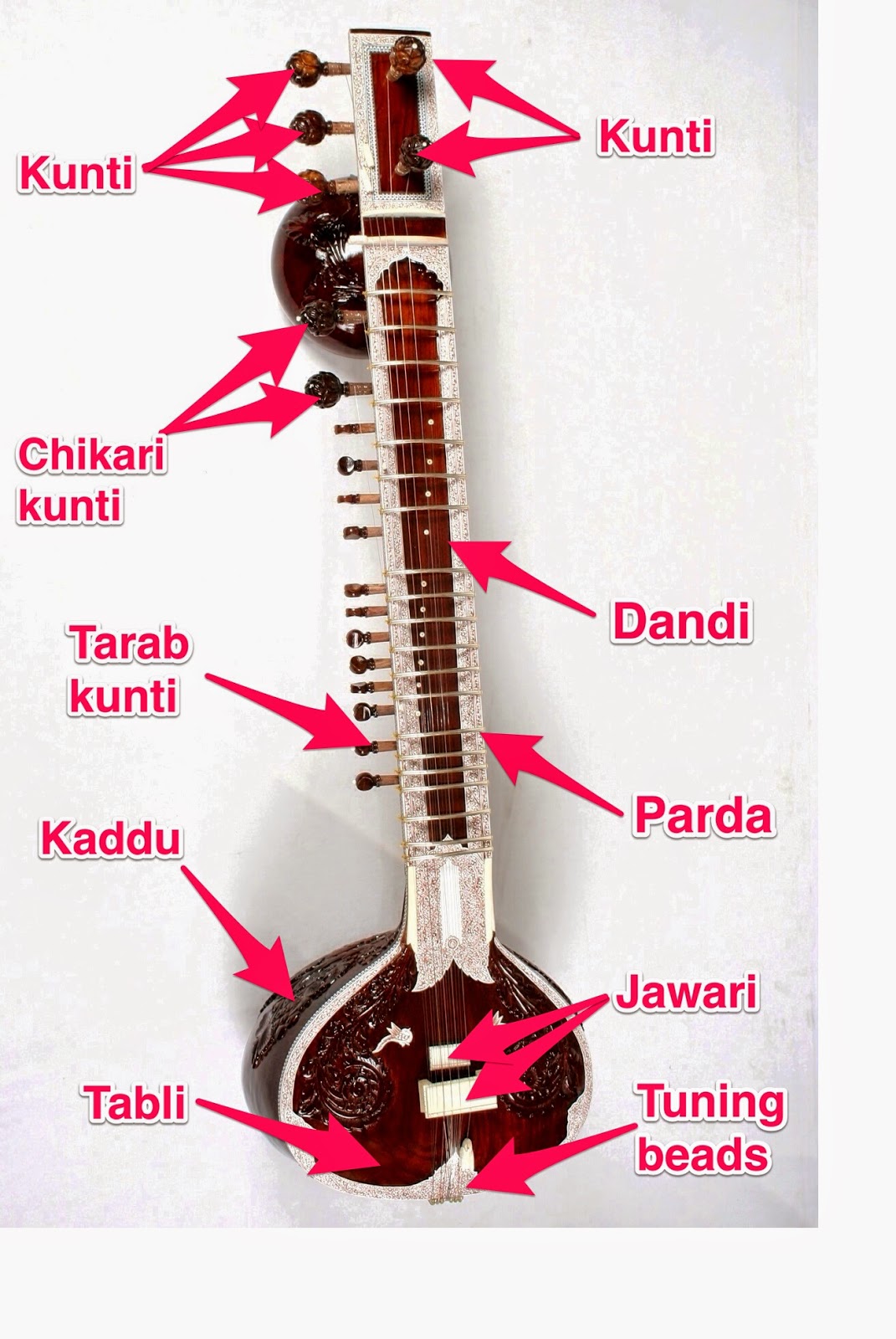 MusicAppSelvatges: Parts del Sitar i l'Ukelele amb Skitch