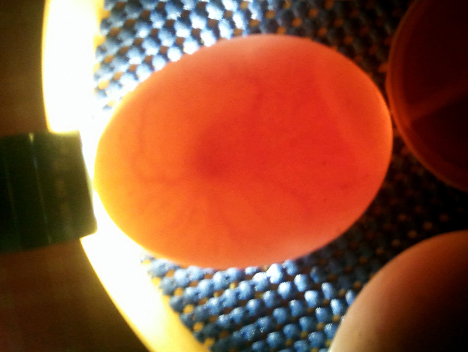 The Beginners Guide to Hatching Duck Eggs [with egg candling photos ...