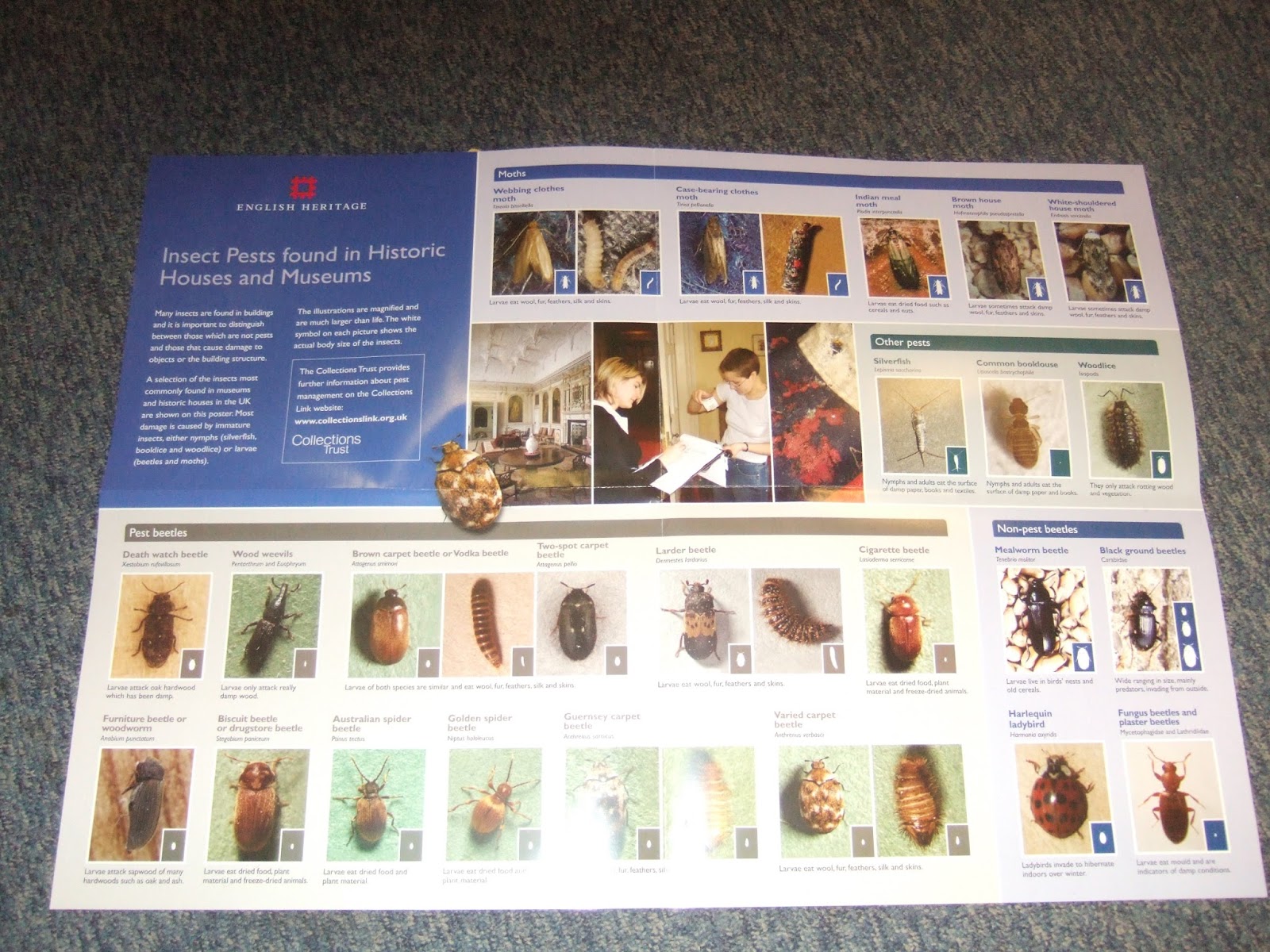 Beyond the Baths: 2015