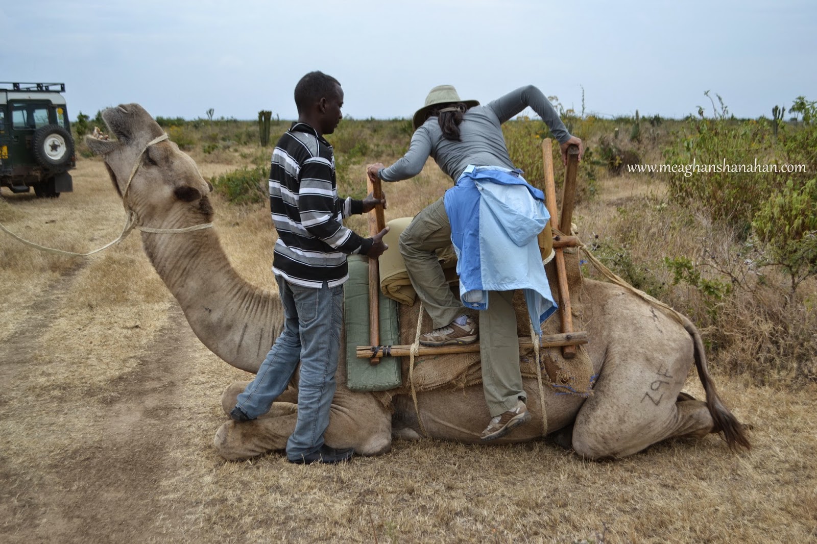 Meaghan the Mzungu: Camel Camping!