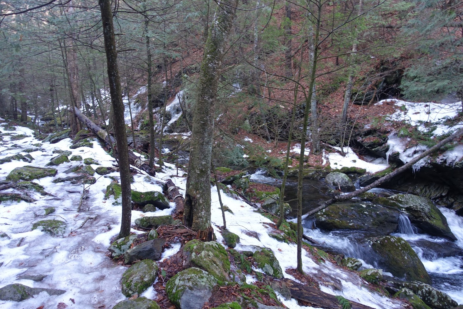 Of Rock & Riffle: A Monumental Mid-Winter's Day in a Deep, Dark Ravine