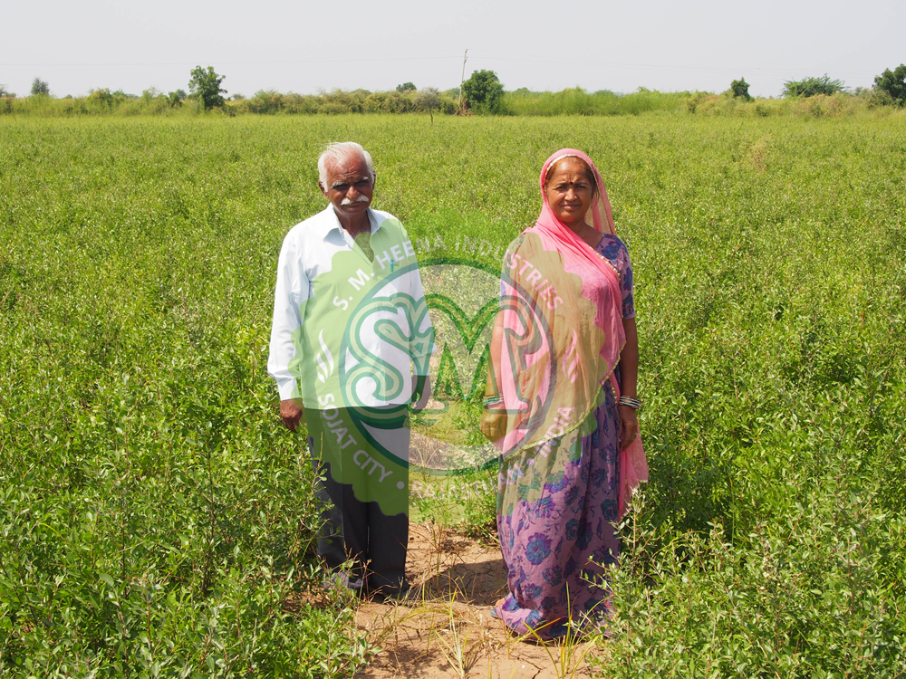 S. M. Heena Industries